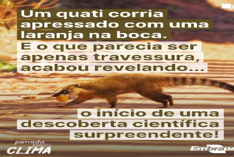 QUATI EMBRAPA – Agenda Econômica